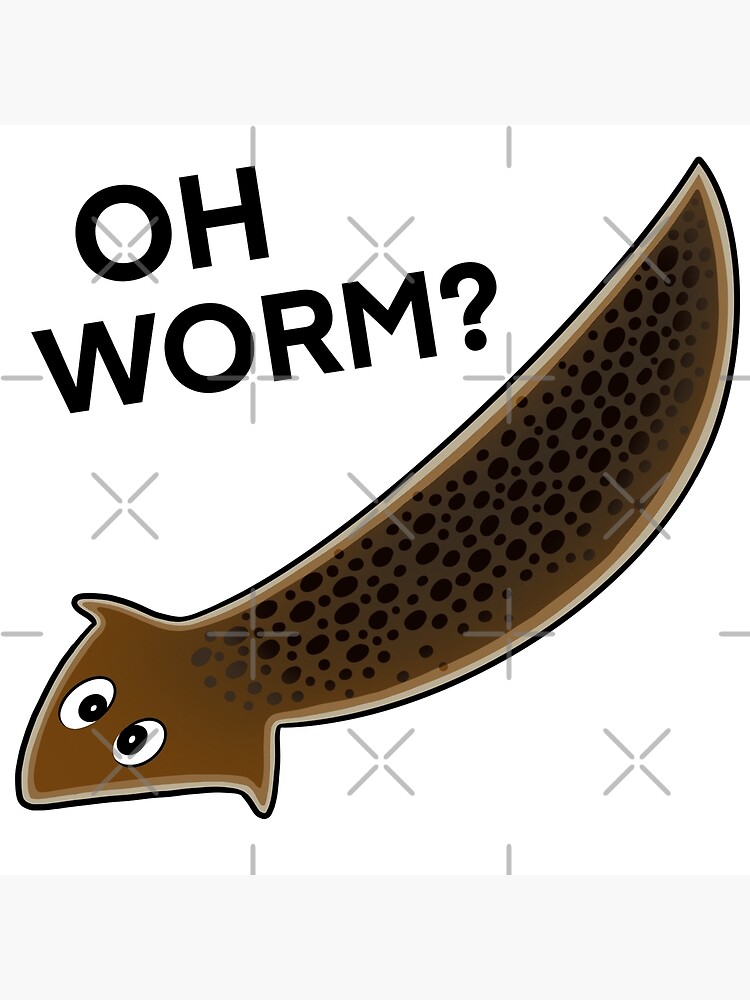 Planaria Memes