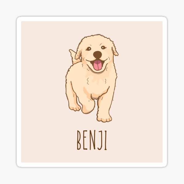 Es Benji El Perro Un Niño O Una Niña