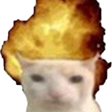 "cat explosion meme | i hate it here " Sticker for Sale by ConstoStore ...