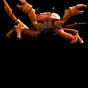 "Crab Rave" Sticker for Sale by Zandertark | Redbubble