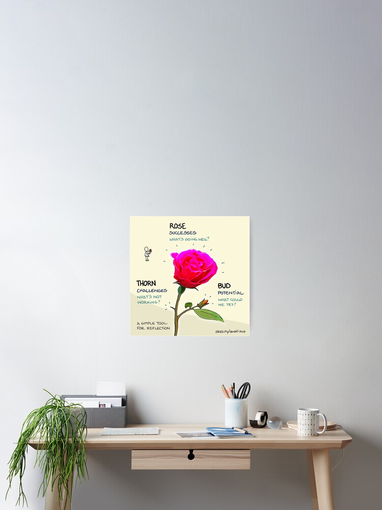 "Rose, Thorn, Bud reflection and retro activity" Poster for Sale by ...