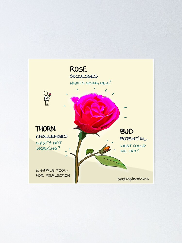 "Rose, Thorn, Bud reflection and retro activity" Poster for Sale by ...