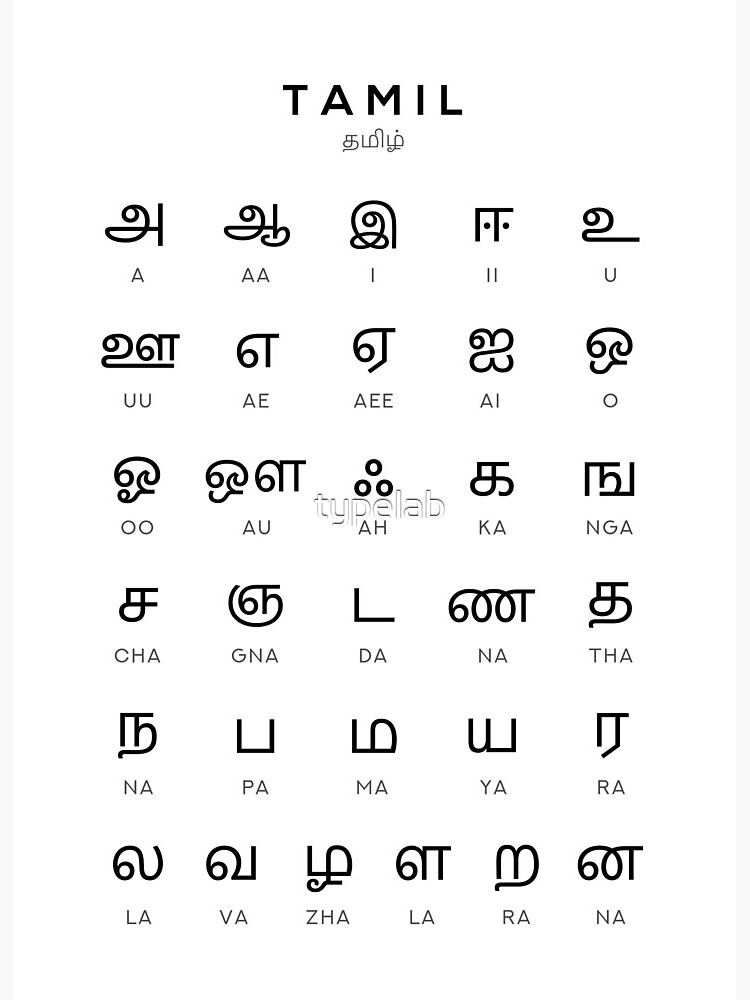 "Tamil Alphabet Language Learning Chart, White" Art Board Print for ...