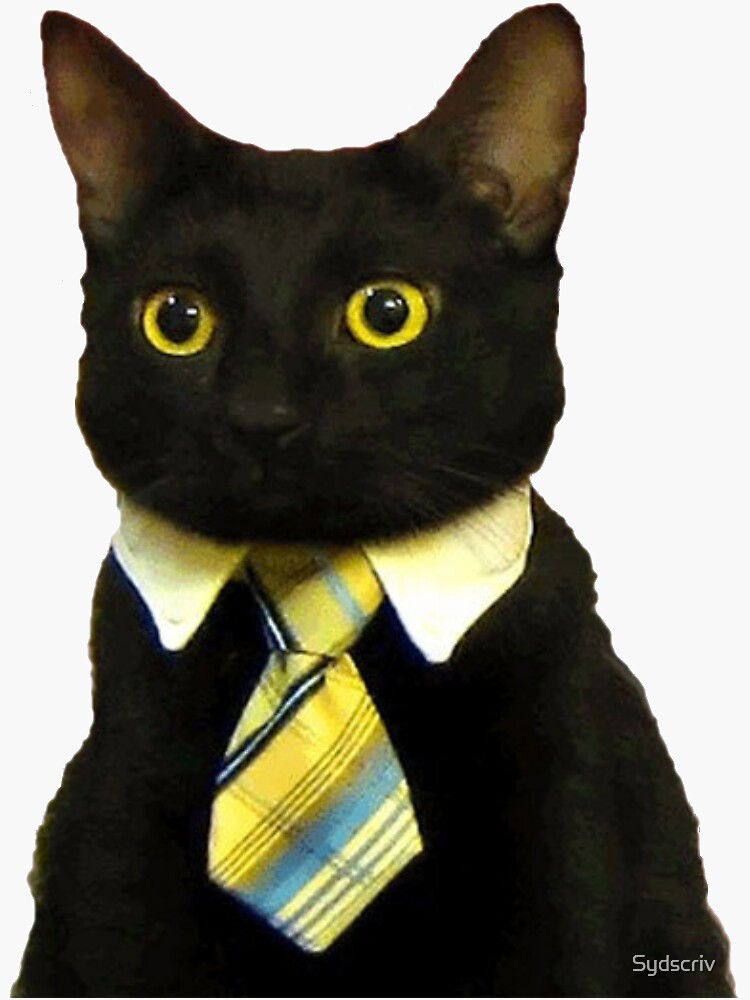 Pegatina for Sale con la obra «Meme de gato de negocios gracioso gatito ...