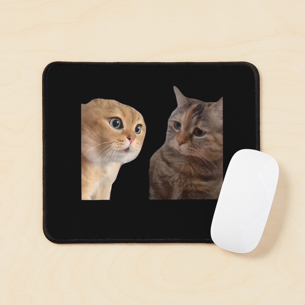 "Two Cats Talking Meme, Cat Meme, Funny Cat" Sticker for Sale by ...