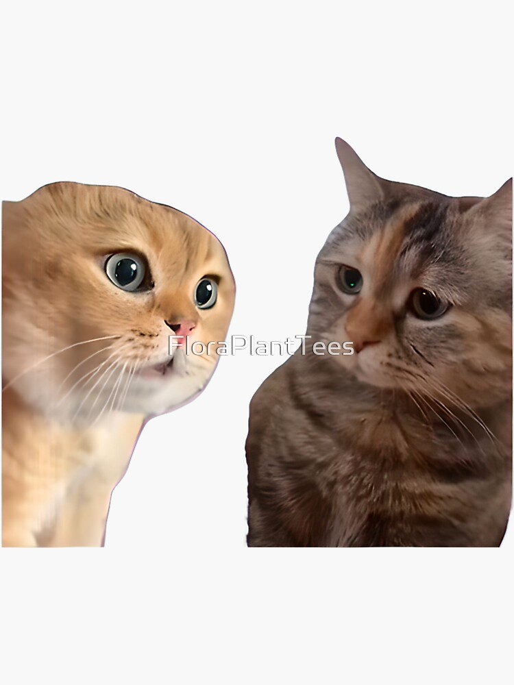 "Two Cats Talking Meme, Cat Meme, Funny Cat" Sticker for Sale by ...