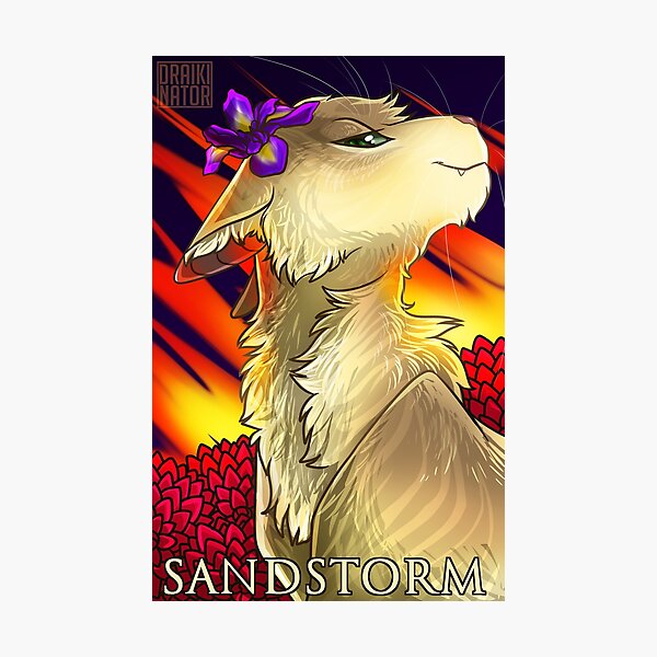 "Sandstorm Portrait" Photographic Print for Sale by Draikinator | Redbubble