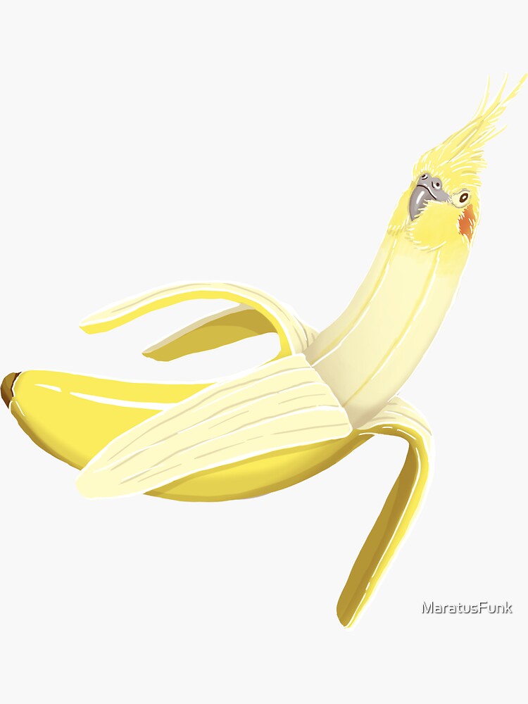 "Bananaaaa! - Cockatiel Banana Pattern" Sticker for Sale by MaratusFunk ...