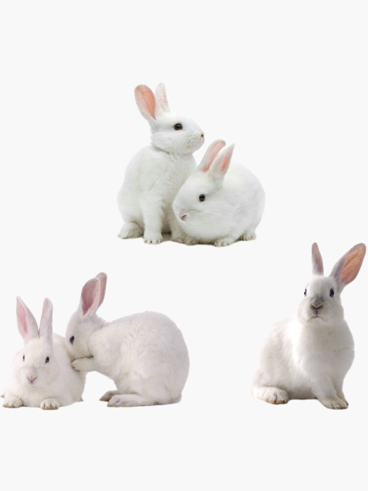 "White Rabbit Cute Creepy Aesthetic Pack" Sticker for Sale by skullcore ...