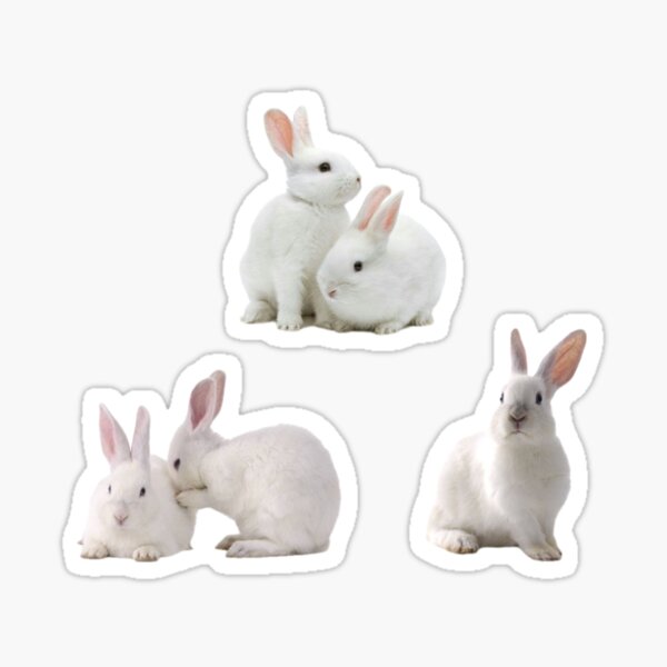 "White Rabbit Cute Creepy Aesthetic Pack" Sticker for Sale by skullcore ...