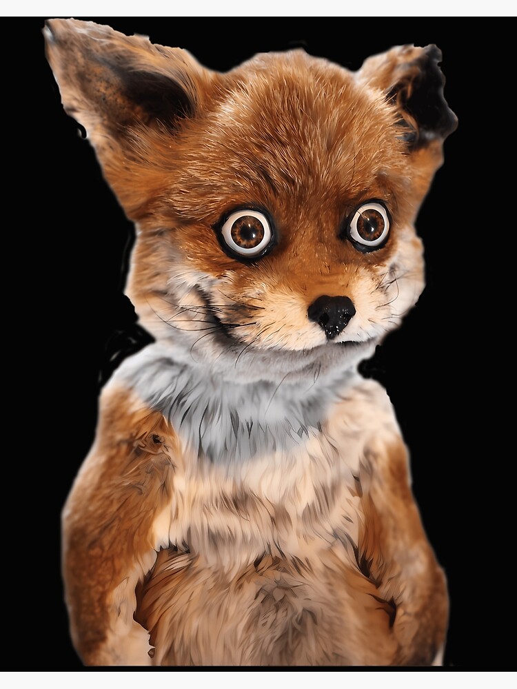 "Geoff Stoned Fox Taxidermy Meme Adele Morse" Art Board Print for Sale ...