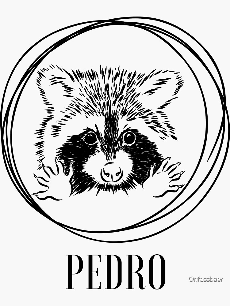 "Pedro Pedro Pedro Raccoon, Pedro Viral Tiktok, Pedro Raccoon Design ...