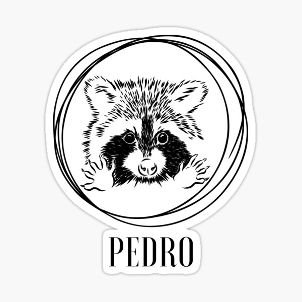 "Pedro Pedro Pedro Raccoon, Pedro Viral Tiktok, Pedro Raccoon Design ...