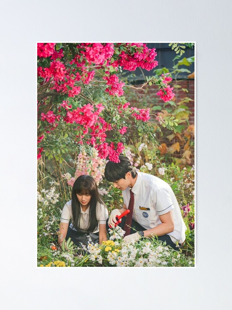 "Lovely Runner kdrama, lovely runner kdrama " Poster for Sale by ...
