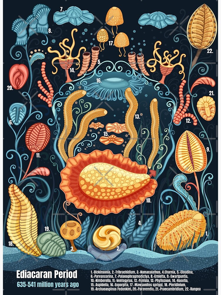 Earliest Multicellular Organisms