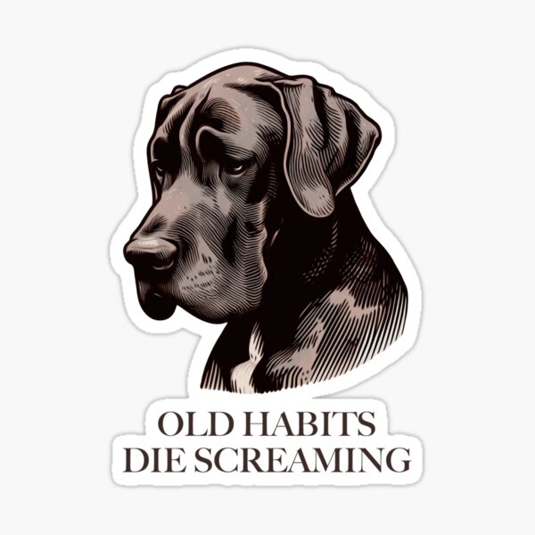 "the black dog" Sticker for Sale by sadieillust | Redbubble