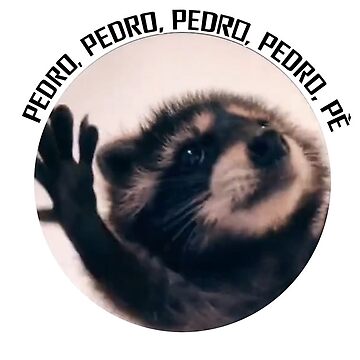 Pegatina for Sale con la obra «Pedro Mapache» de Parsivalart | Redbubble