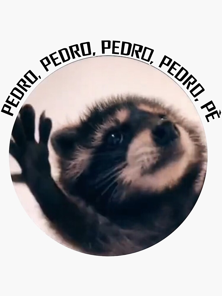 Pegatina for Sale con la obra «Pedro Mapache» de Parsivalart | Redbubble