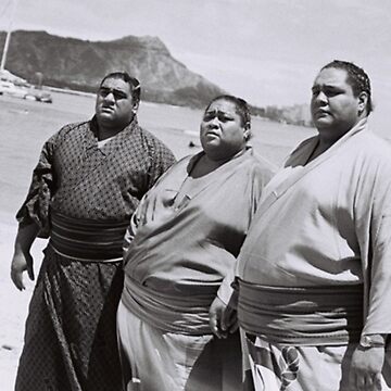 "Sumo Legends Musashimaru, Konishiki and Akebono in Oahu" Sticker for ...