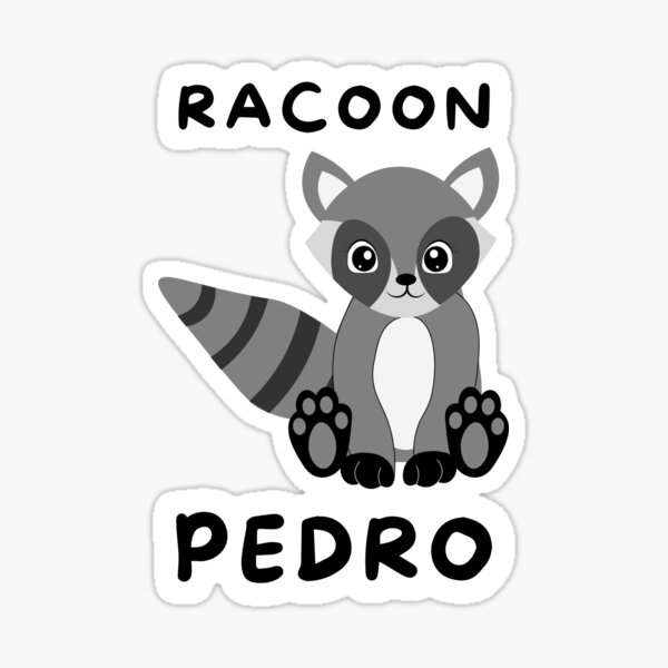 "Pedro the Meme Raccoon" Sticker for Sale by impressionofmel | Redbubble