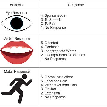 "The Glasgow Coma Scale (GCS)" Sticker for Sale by IspaDesigns | Redbubble