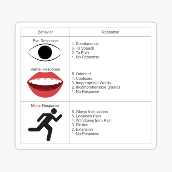 "The Glasgow Coma Scale (GCS)" Sticker for Sale by IspaDesigns | Redbubble