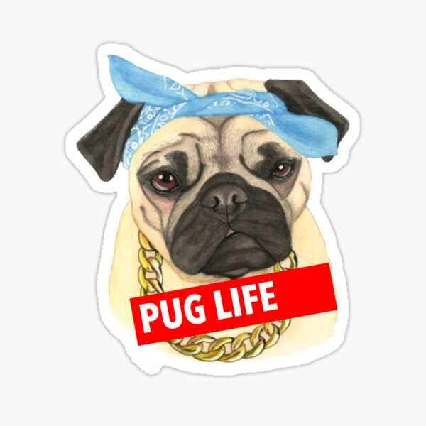 "pug life $$$$" Sticker for Sale by naomisomerset | Redbubble