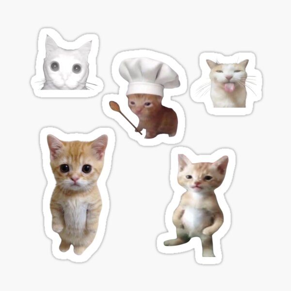 "silly cat sticker pack el gato" Sticker for Sale by aloehunni | Redbubble