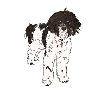 "Labradoodle line drawing" Sticker for Sale by eco ! | Redbubble