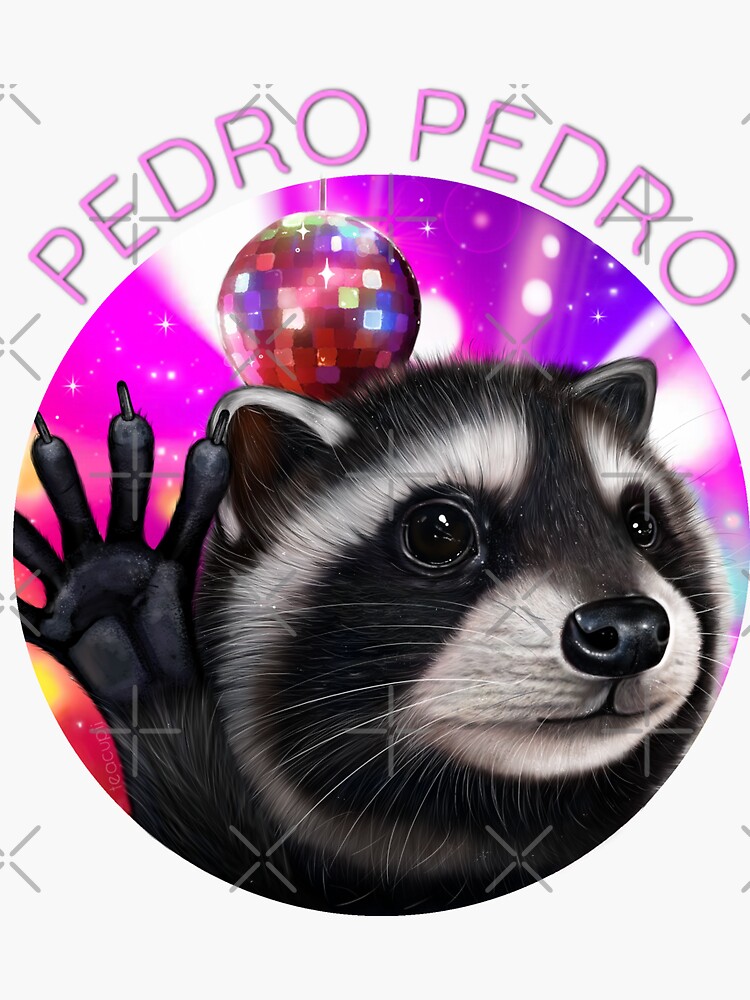 "Pedro Raccoon" Sticker for Sale by teacupiiart | Redbubble