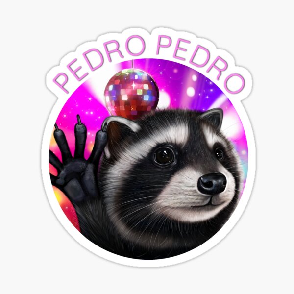 "Pedro Raccoon" Sticker for Sale by teacupiiart | Redbubble