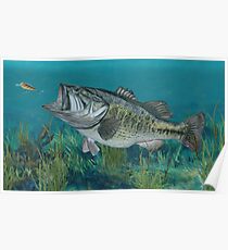 Bass Fishing Posters | Redbubble