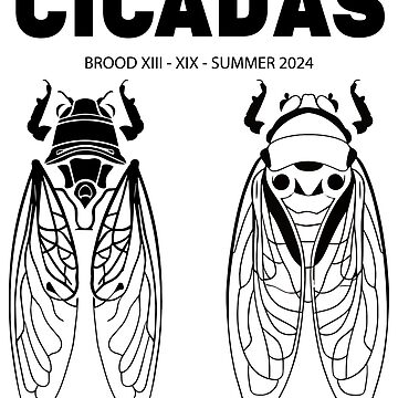 "Funny Cicadas Brood 2024 Cool Cicada Man Woman's" Sticker for Sale by ...