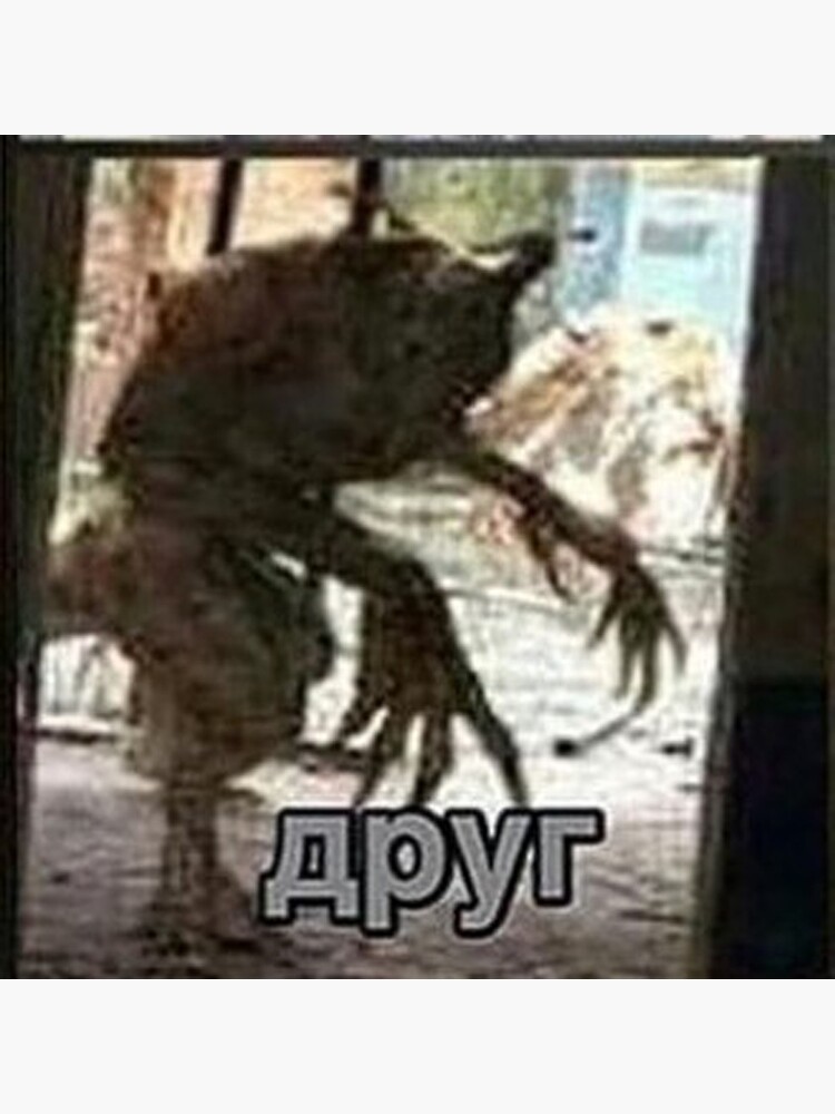 "друг apyr Droog Friend" Art Print by ssbmjacks | Redbubble