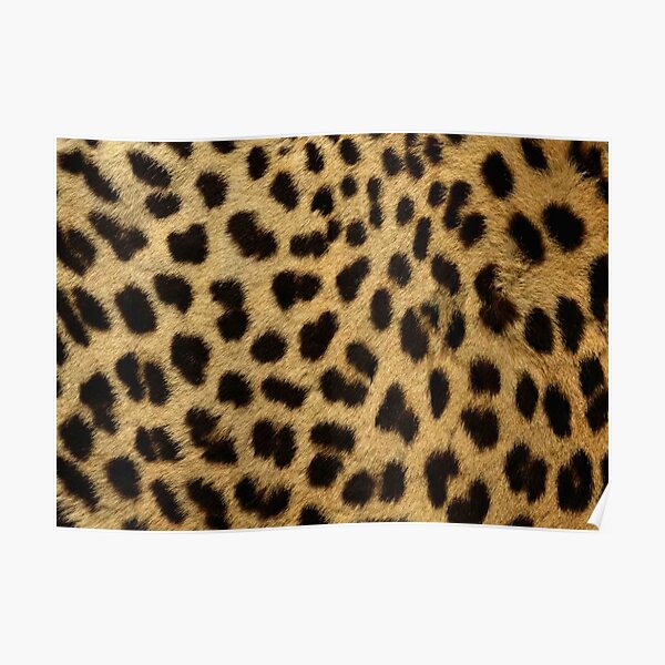 "Cheetah Print Animal Skin Fur Pattern" Poster by Angelinas | Redbubble