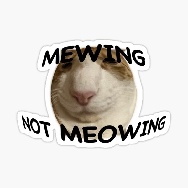 "Mewing Not Meowing" Sticker for Sale by Whisper-Eyes | Redbubble