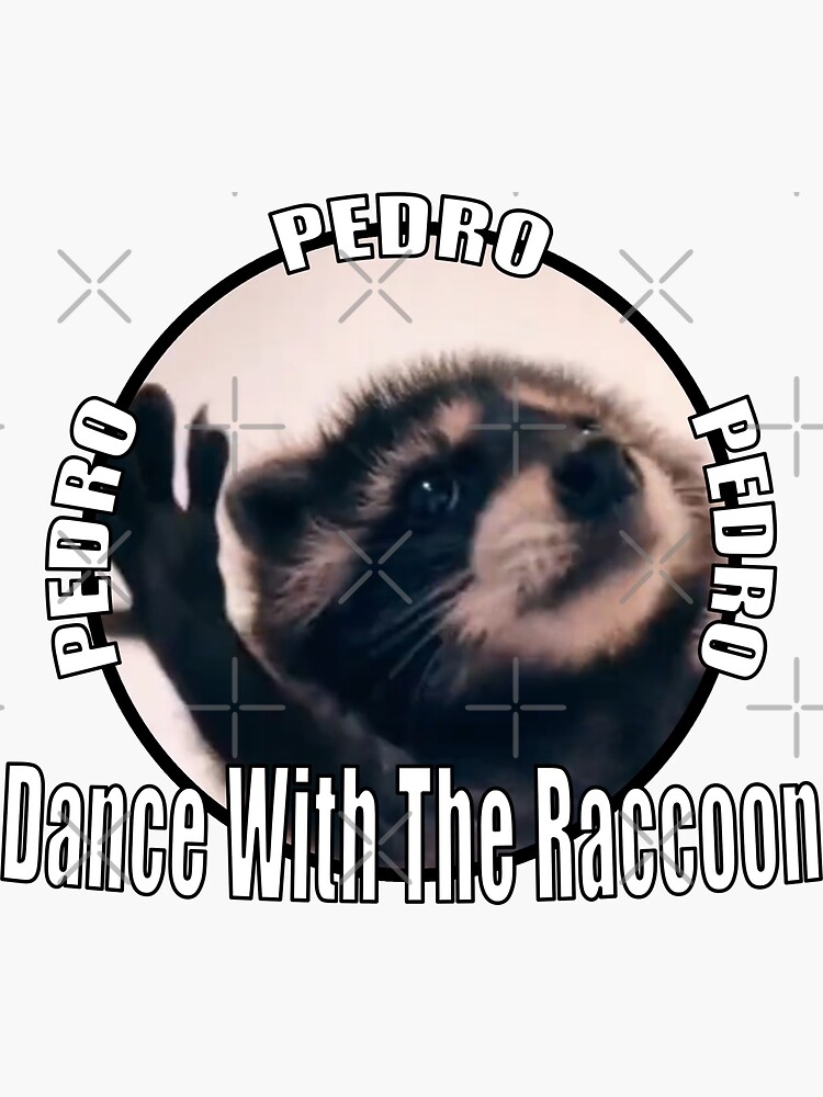 "Dancing Raccoon Pedro Pedro Pedro meme " Sticker for Sale by Riv0x ...