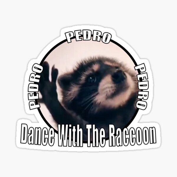 "Dancing Raccoon Pedro Pedro Pedro meme " Sticker for Sale by Riv0x ...