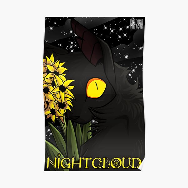 "Nightcloud Portrait" Poster for Sale by Draikinator | Redbubble