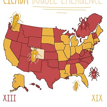 "Cicada Double Brood Emergence Cicadas Map 2024" Sticker for Sale by ...