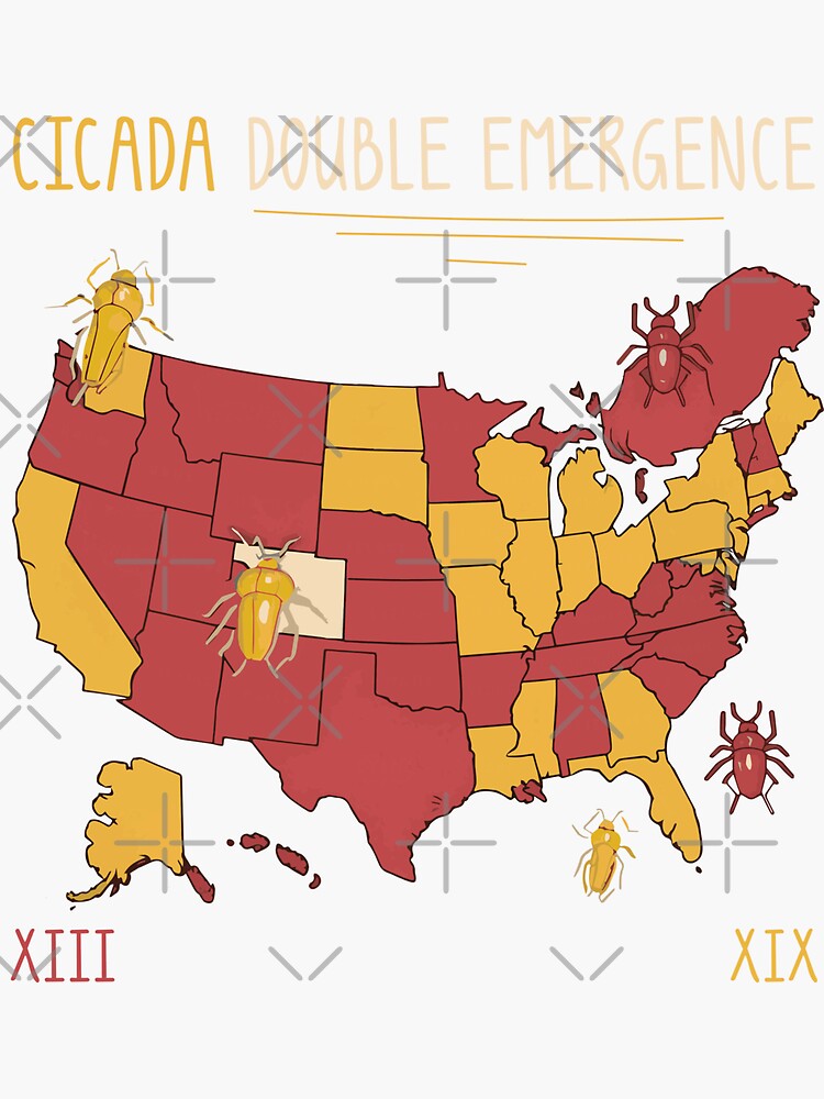 "Cicada Double Brood Emergence Cicadas Map 2024" Sticker for Sale by ...