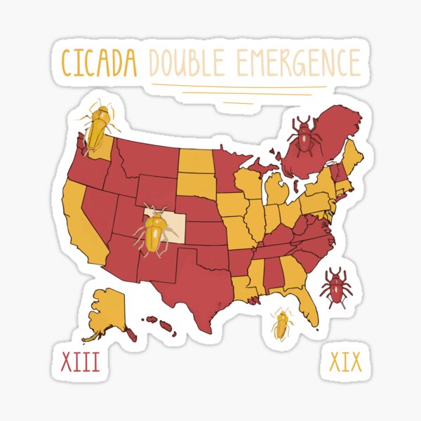 "Cicada Double Brood Emergence Cicadas Map 2024" Sticker for Sale by ...