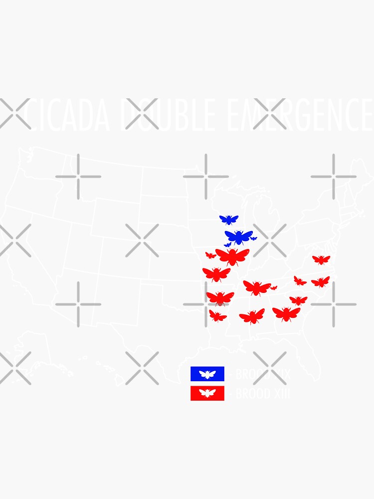 "Cicada Insect Double Brood Emergence, Cicadas bug Map 2024" Sticker ...