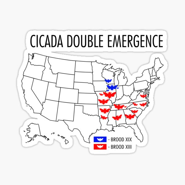 "Cicada Insect Double Brood Emergence, Cicadas bug Map 2024" Sticker ...