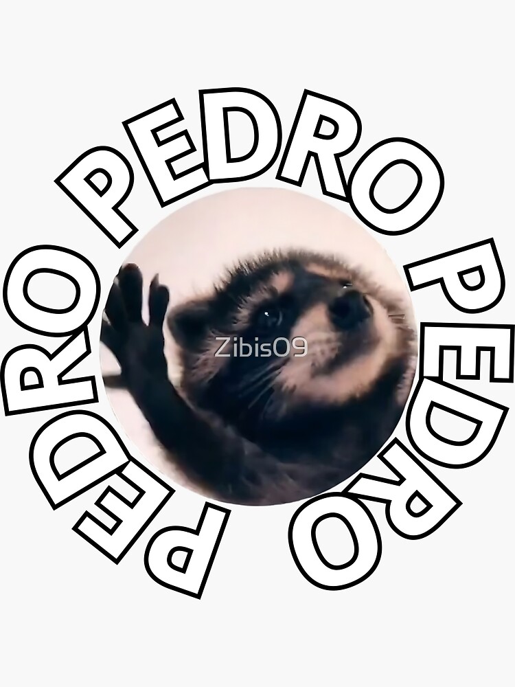 "Pedro raccoon, Pedro Pedro Pedro, Viral, Memes" Sticker for Sale by ...