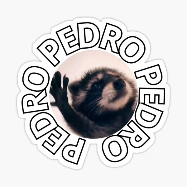"Pedro raccoon, Pedro Pedro Pedro, Viral, Memes" Sticker for Sale by ...