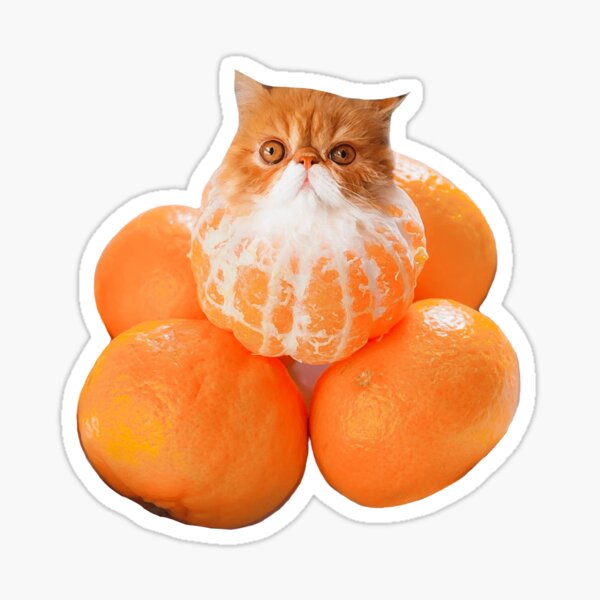 "Tangerine Cat" Sticker for Sale by Cats In Food | Redbubble