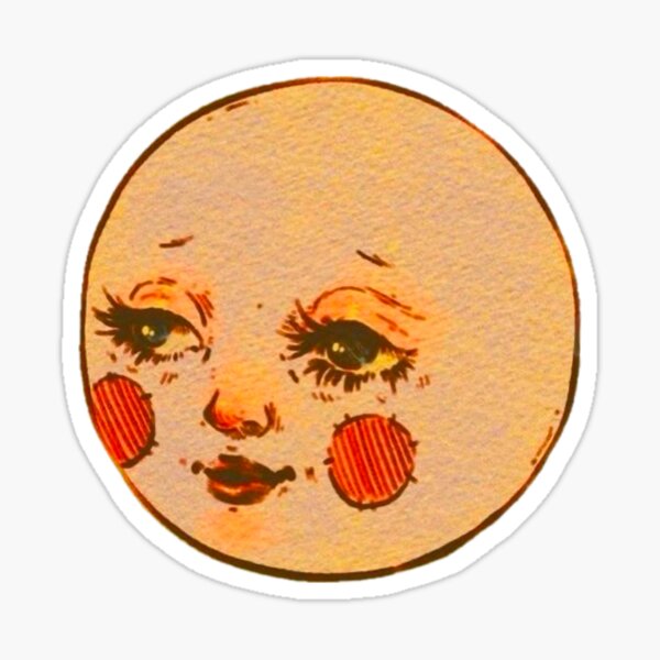 "Aesthetic Moon Face" Sticker for Sale by Oliolioliolio | Redbubble