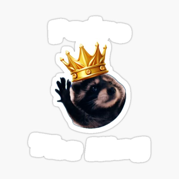 "Pedro Raccoon - The King" Sticker for Sale by RevolveStyle | Redbubble