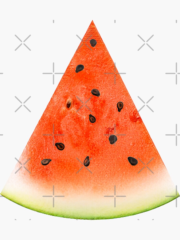 "Watermelon Slice" Sticker for Sale by Flaming Aura Studio | Redbubble